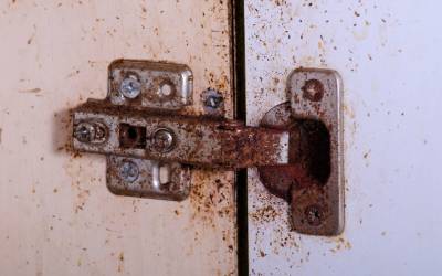 What Kind of Poop Is This? | Common Types of Pest Droppings